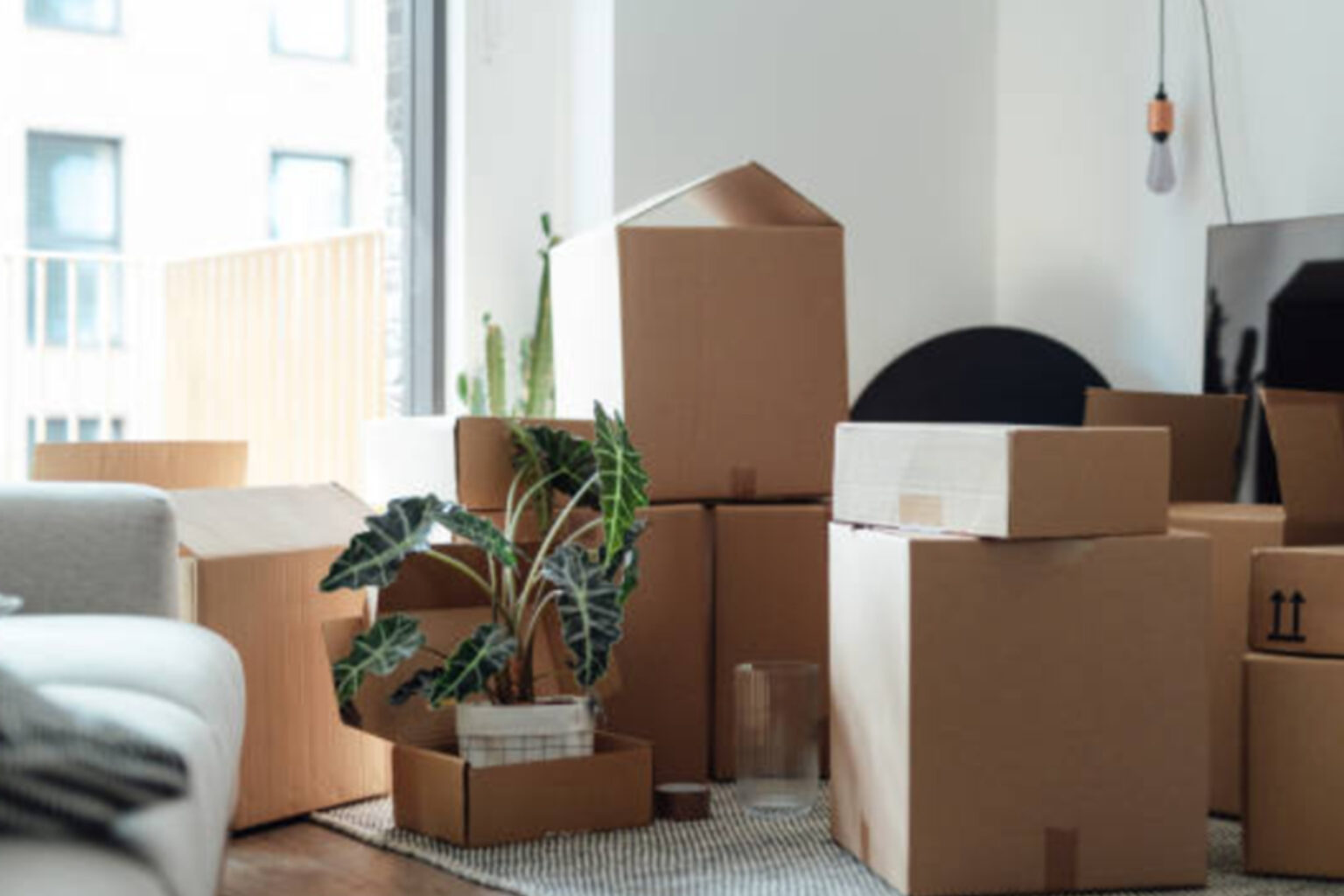 Things To Do Before Your Move | Moving Services | New Mexico